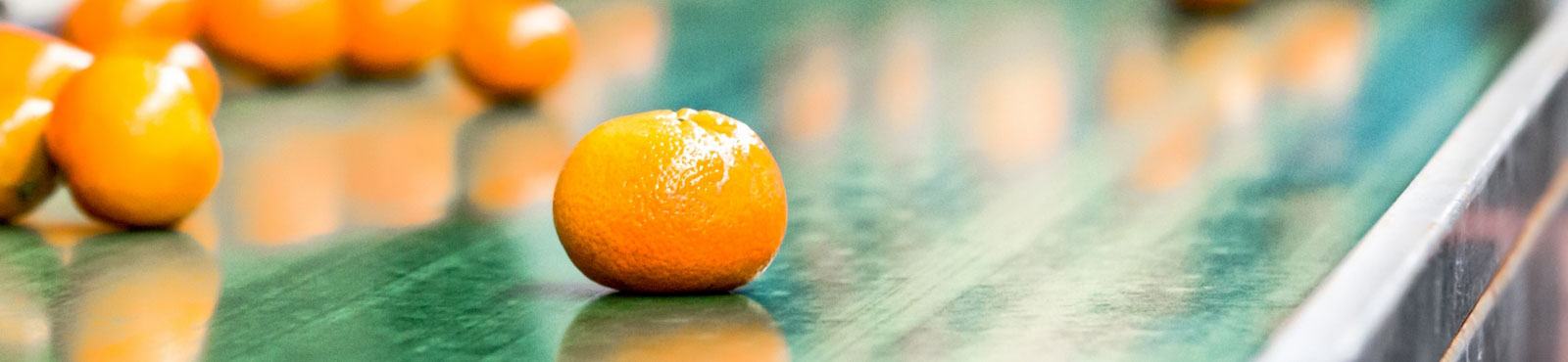 Packhouse | Unipack | South Africa