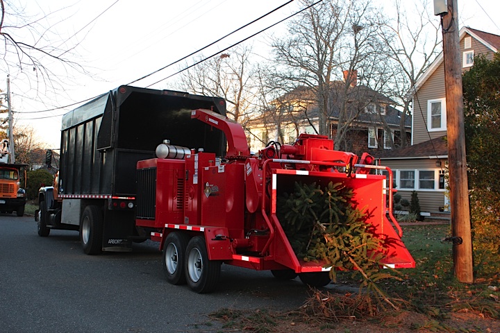 Tom Hake Tree Service