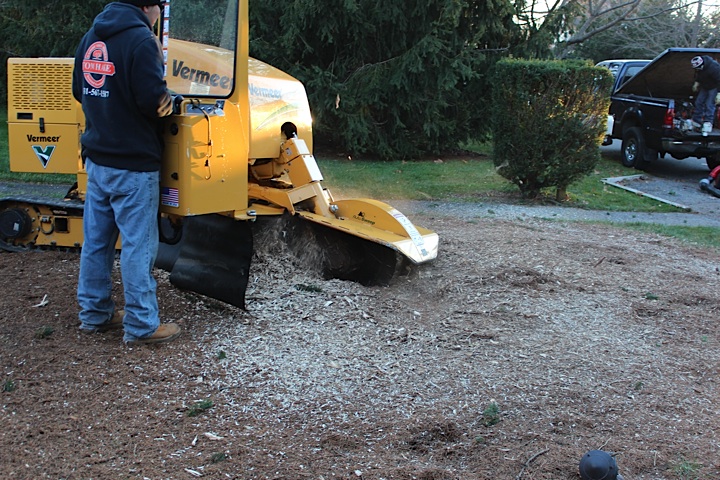 Tom Hake Tree Service