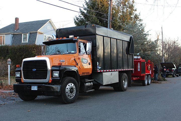 Tom Hake Tree Service