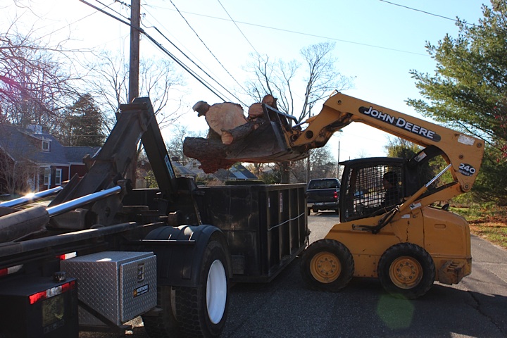 Tom Hake Tree Service