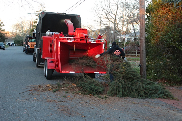 Tom Hake Tree Service