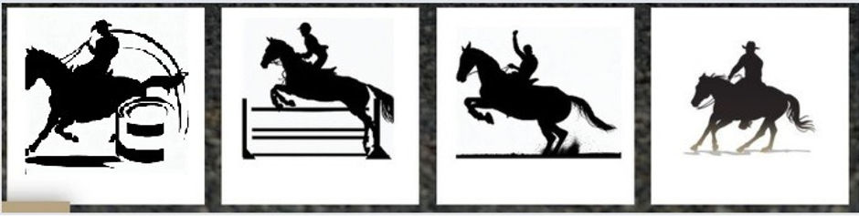 Custom Western | Florida Horse Arena