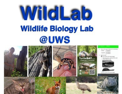HOME | wildlab