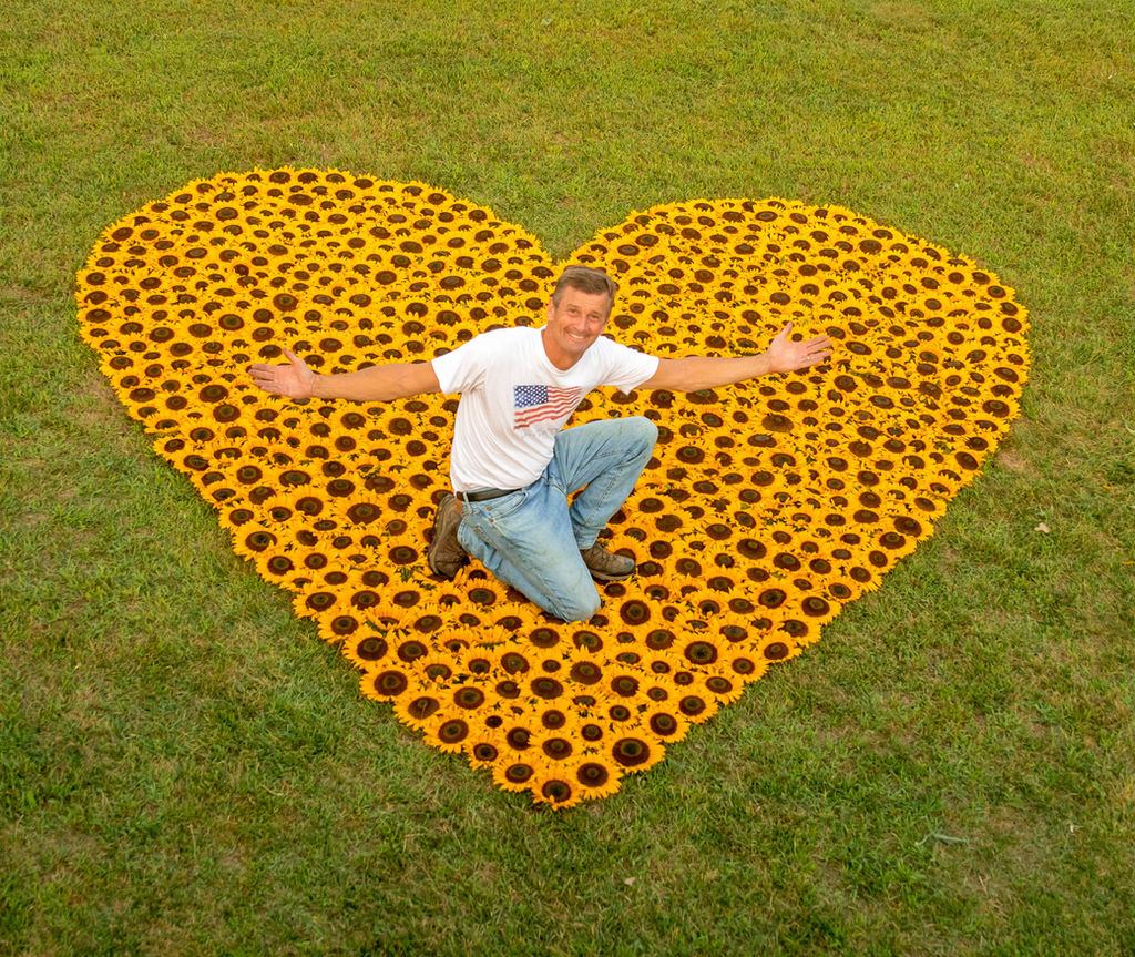 Sunflowers | Sunflower Steve Seed Co