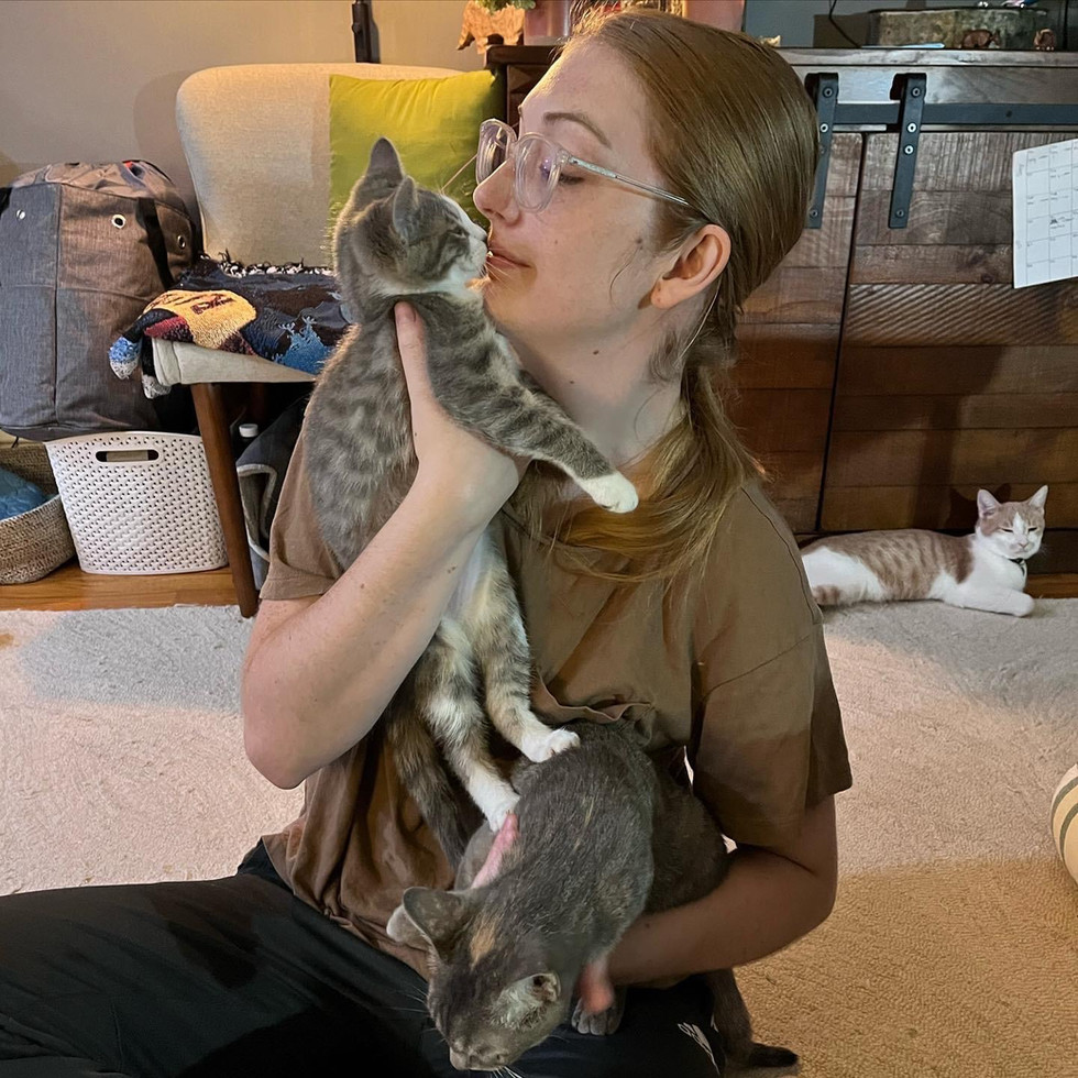 FOSTER | Paws & Claws Cat Rescue