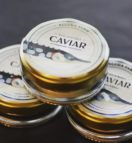 All Products | Chaviar