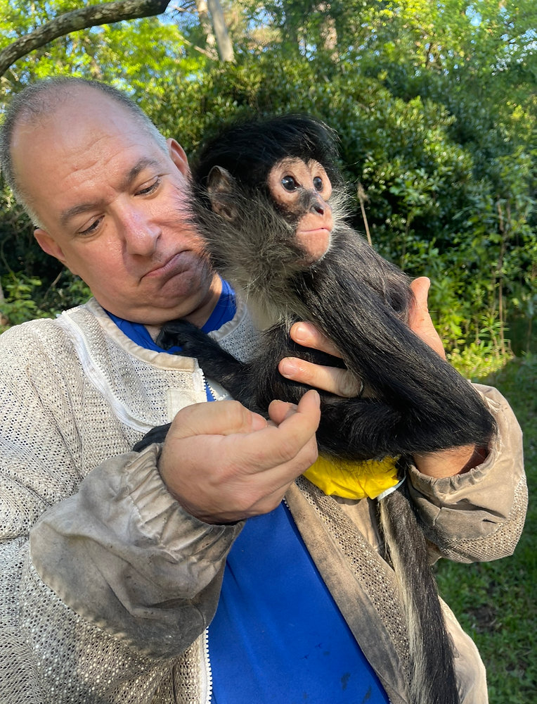 Who you gonna call?: A Plea for Thoughtful Beekeeping