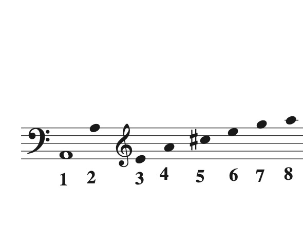 The Overtone Series: What It Is, and Why You Should Know It?