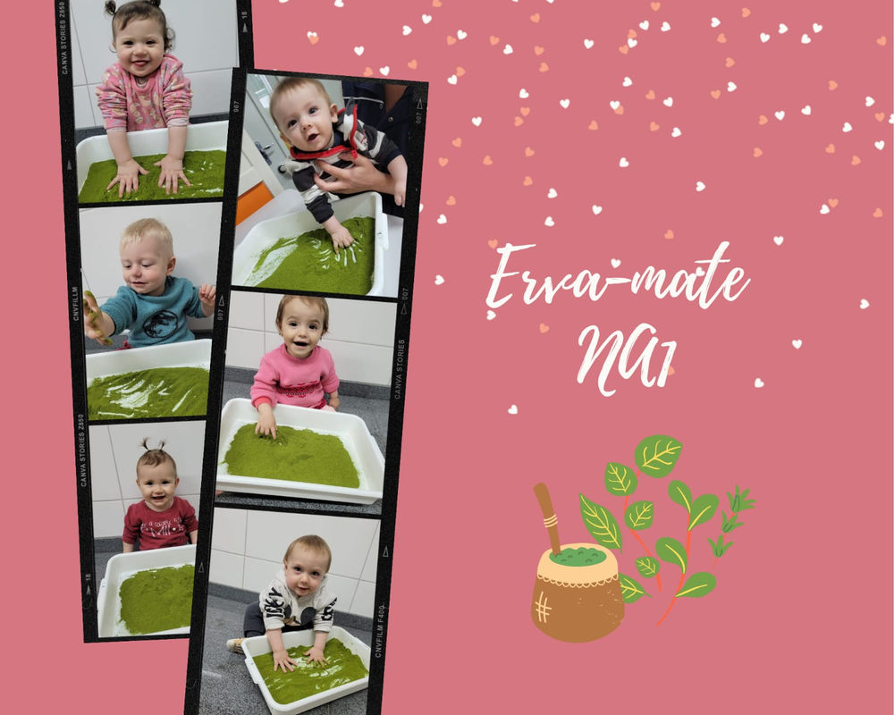 Erva-mate - NA1 | prefeiturastaclara