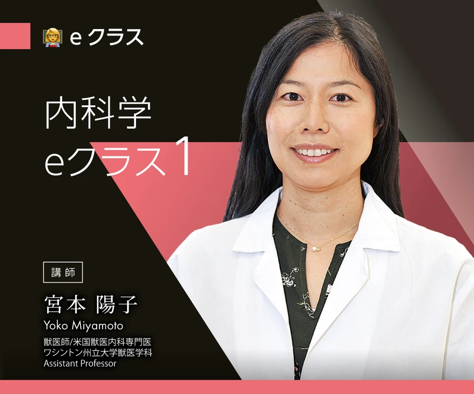 👩‍🏫 eクラス｜宮本Dr.の内科学eクラス1 | VSJ CORE & ONE