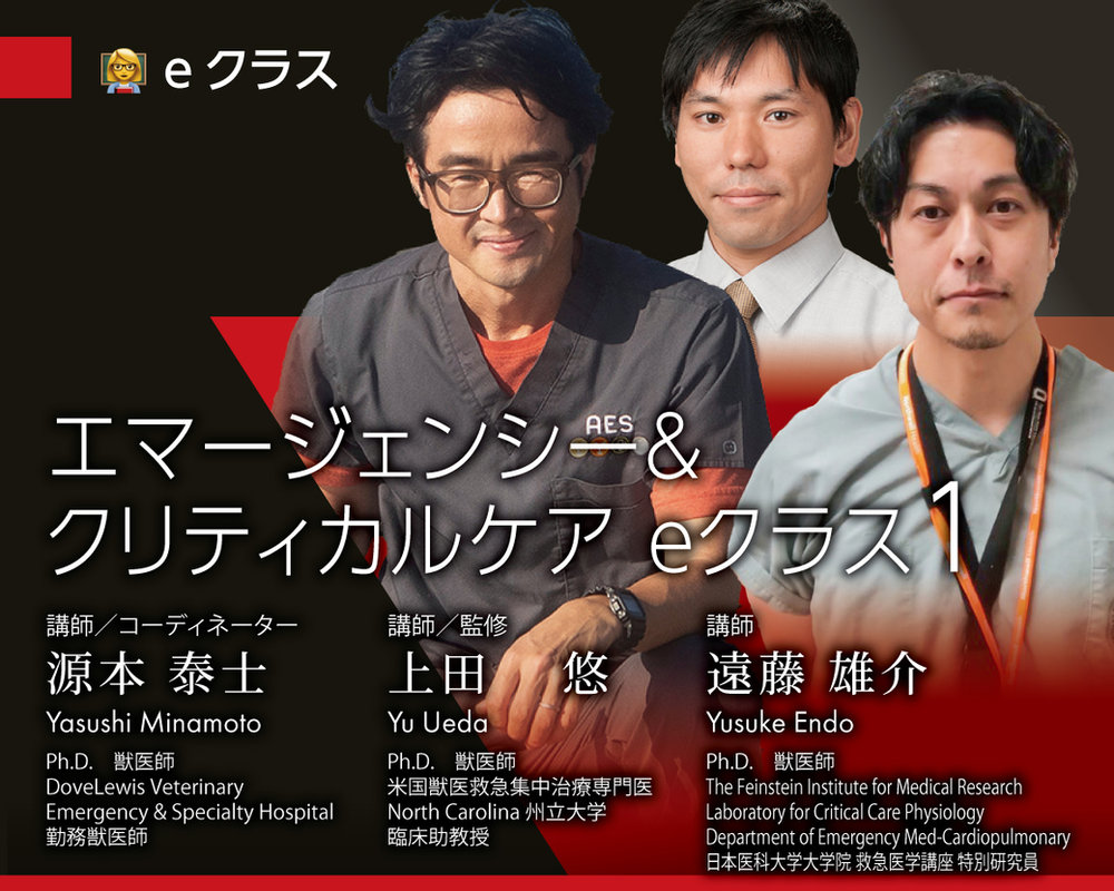 👩‍🏫 eクラス｜源本Dr./上田Dr./遠藤Dr.のエマージェンシー&クリティカルケアeクラス1 | VSJ CORE & ONE