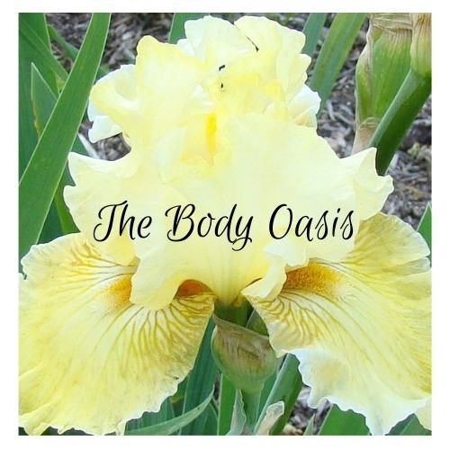 The Body Oasis/ Holistic Esthetics/ 9 Rupert Street, Amherst, NS, Canada