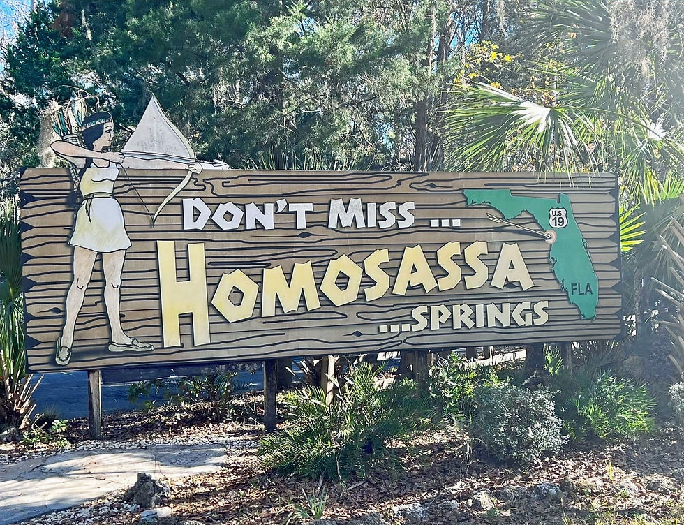 Florida's Manatee Spot: Homosassa Springs in Style