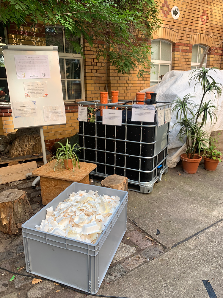 From Waste to Regeneration: A Johnson & Su Bioreactor for the Regens ...