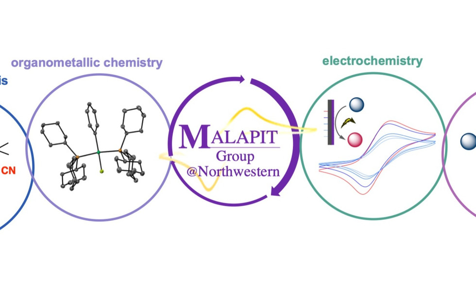 Home | Malapit Group