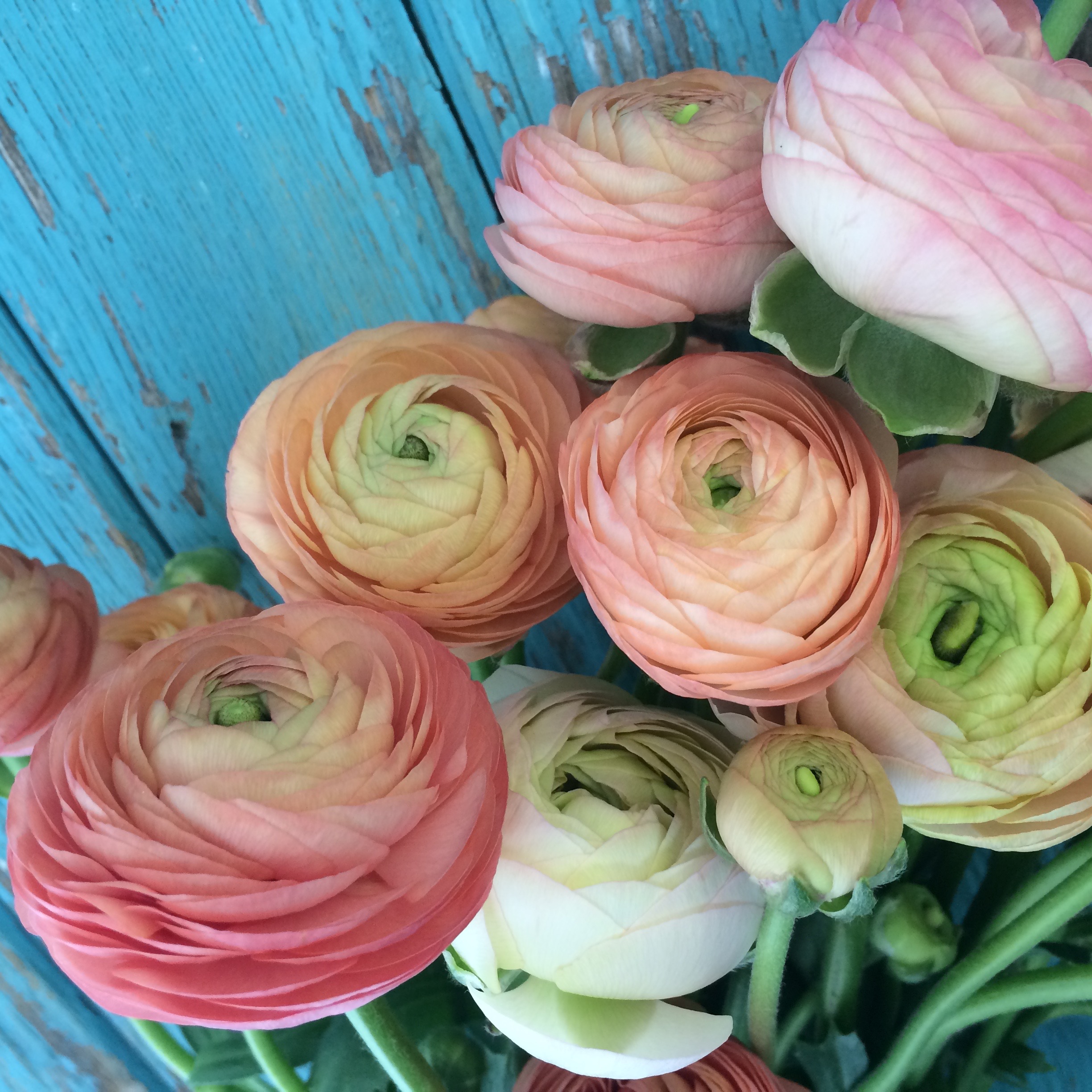 Wedding and Event Florist | Marta Matson Flowers | South West England ...