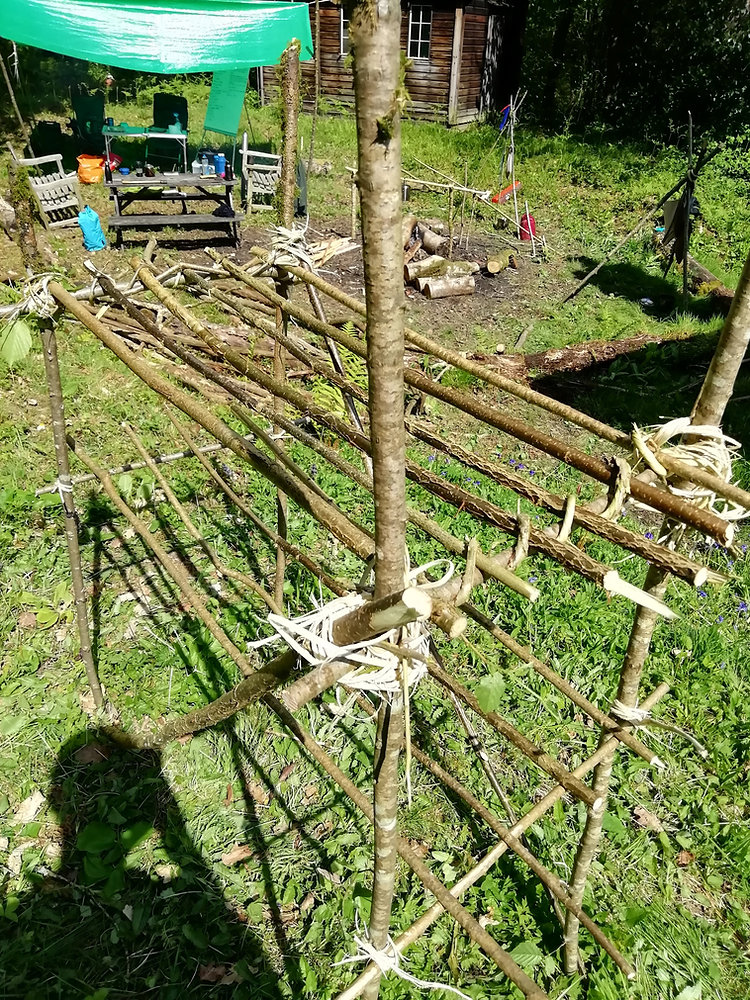 Making rope from trees - withies