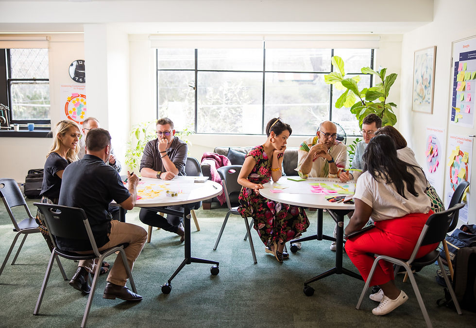 The Resilience Canopy | community resilience