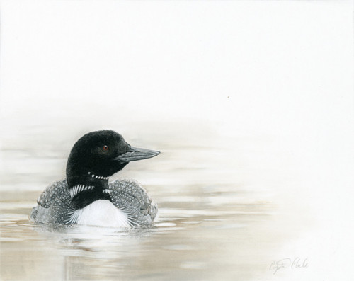 'Where the Stillness Begins' Original Loon pastel artwork | Crystal ...