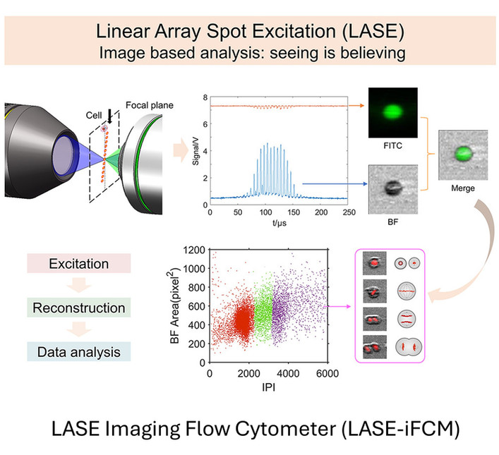Spectral Imaging Flow Cytometry | Jingjing Zhao Lab
