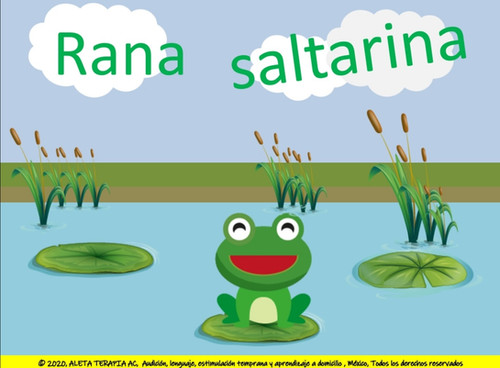 Rana Saltarina | aletaterapia