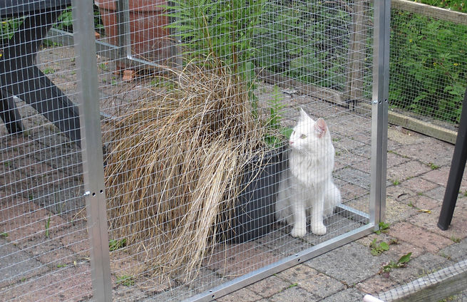 UK based Custom Catio & Aviary maker