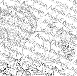 Traceables | Angela Anderson