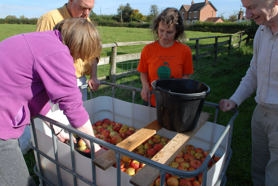 GALLERY | littleciderpress