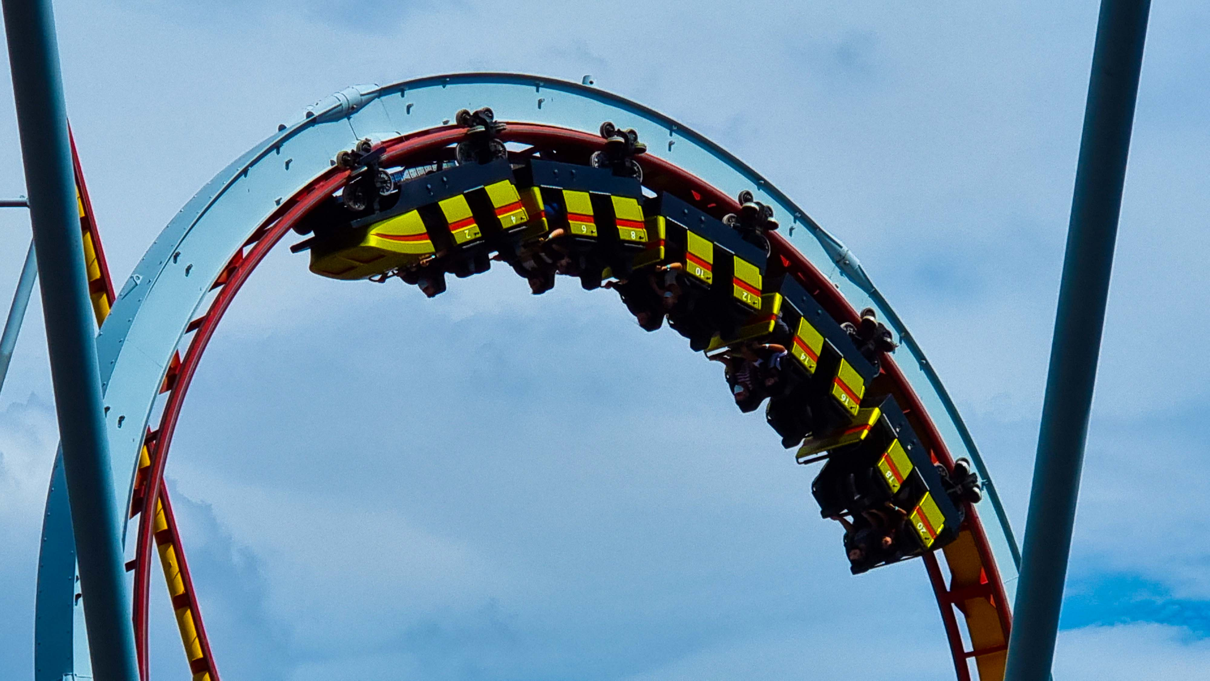 Ingressos, melhores atrações e como chegar no Selva Mágica