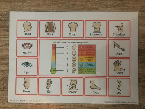 A4 Pain Threshold Scale Meter Chart ASD Autism Non-verbal Dementia ...