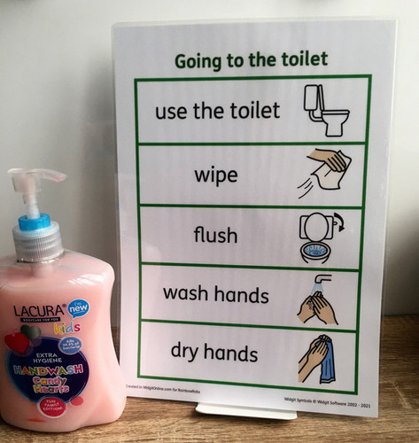 A4 Basic Toilet Training Instructions Poster | Rainbow Robs