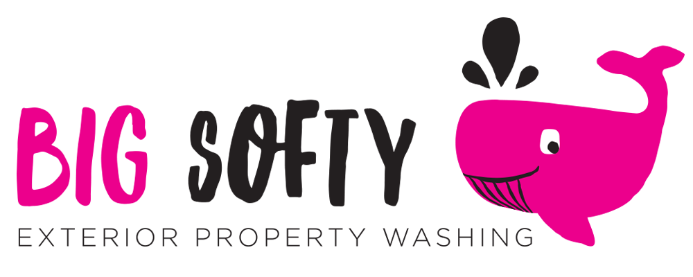 Big Softy - Exterior Property Washing Services - Te Awamutu and Waipa