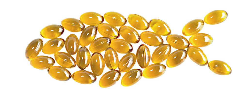 Blog | Fortaline Plus