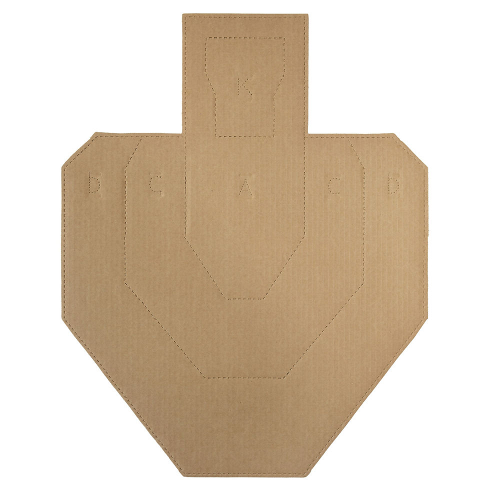 PCSL Targets (CARDBOARD) (100 PACK) | Tim's Targets, LLC