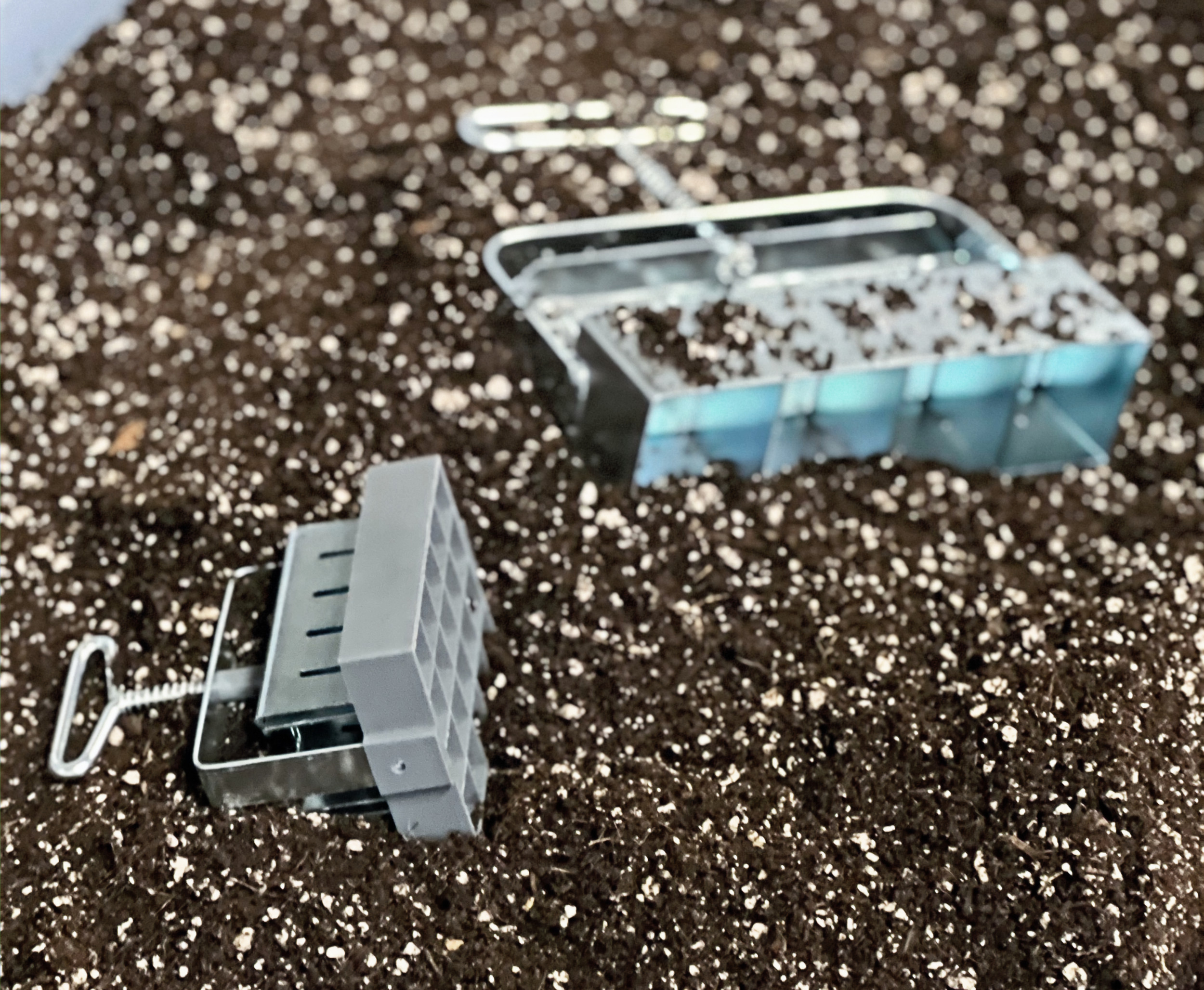 Uncovering the Benefits of Soil Blocking for Healthier Root Development ...