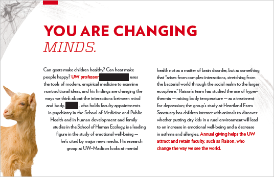 How To Create The Ultimate Impact Report (with samples)