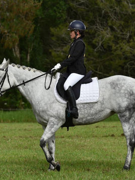 Pegasus Riding Academy | Horse Riding Academy for Children | Auckland