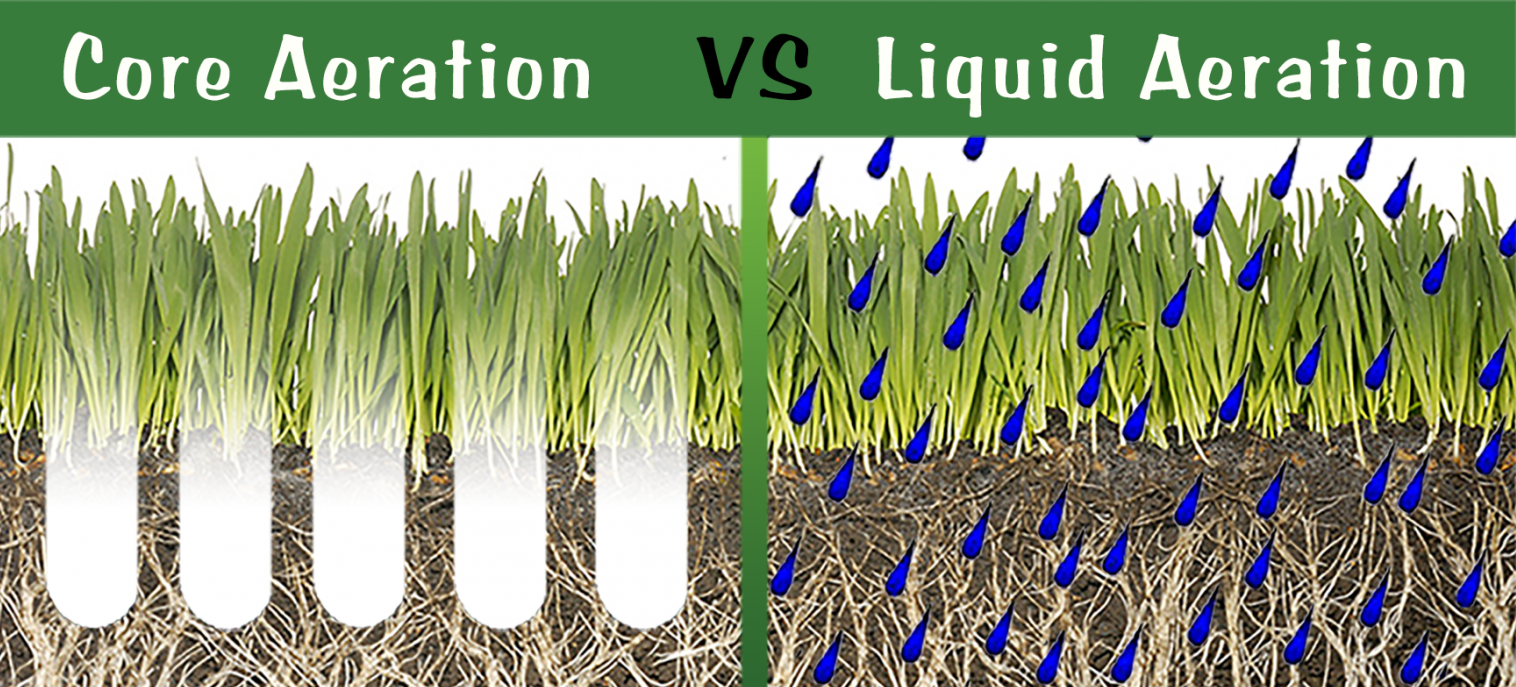 Core Aeration vs. Liquid Aeration