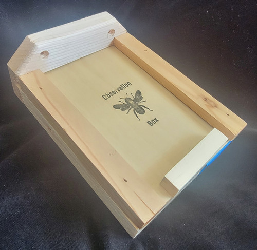 Bee Observation Box - Small | Knox Cellars Mason Bees