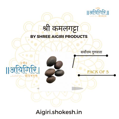 Shree Kamal ghata | SHOKESH Enterprises