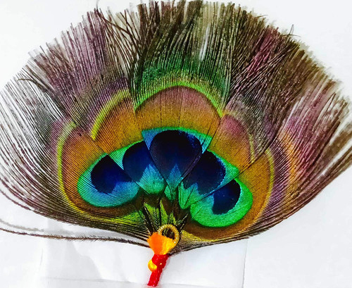 Laddu Gopal Mor Pankh Kalangi – Real Peacock Feather | Big Size for ...