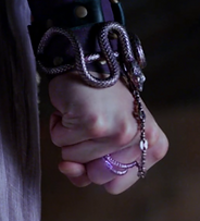 The present | The Untamed Guide