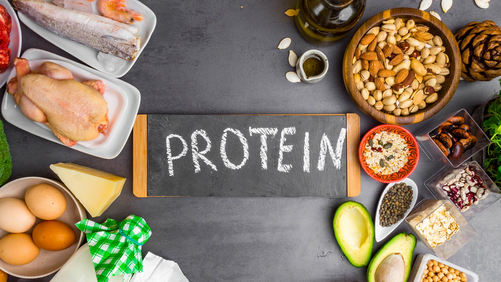 Why is Protein Important?