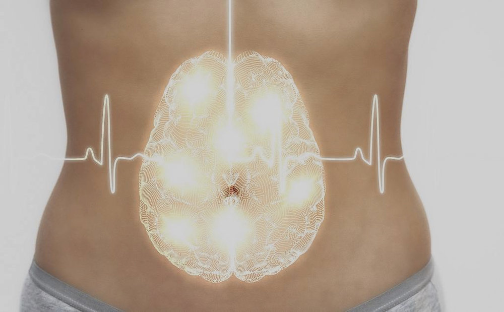 On Est Ce Qu'On Mange : Le Lien Ventre Cerveau