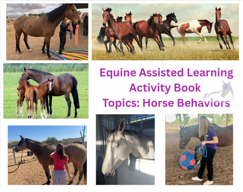 Equine Assisted Learning Activity Workbook - Horse Behaviors ...