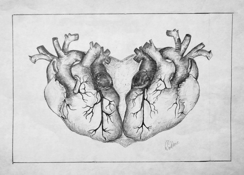 The Heart Symbol the-heart-symbol