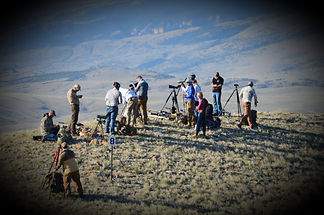 Western Precision Rifle