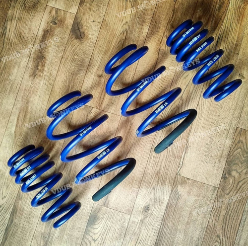 VW T6.1 H&R SPORT LOWERING SPRINGS - 40mm | The VDUB Monkeys