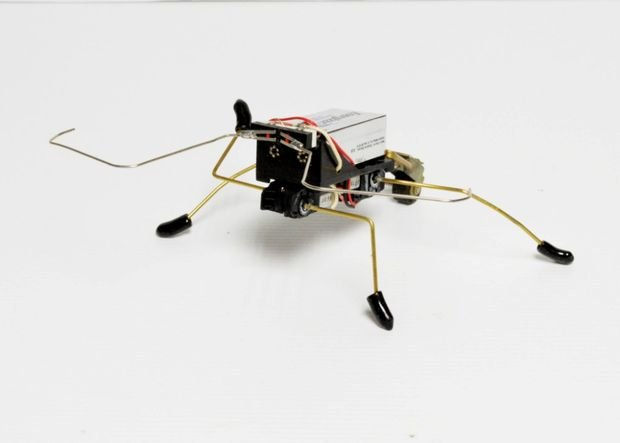 MicroBug (micro robot) | grandpamakerlab